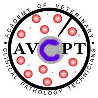 AVECCTN Application Process
